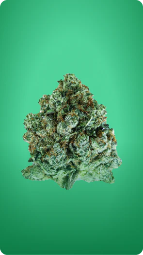 THCA FLOWERS – THE DOPEST SHOP